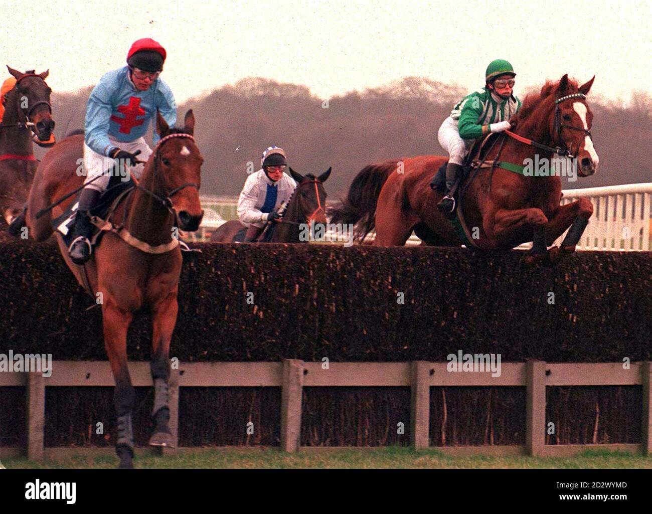 Peter blythe hi-res stock photography and images - Alamy