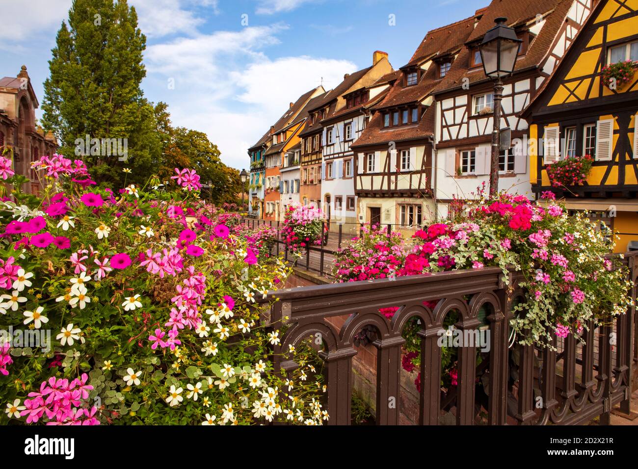 View on Colmar town with half-timbered traditional houses by the bank ...