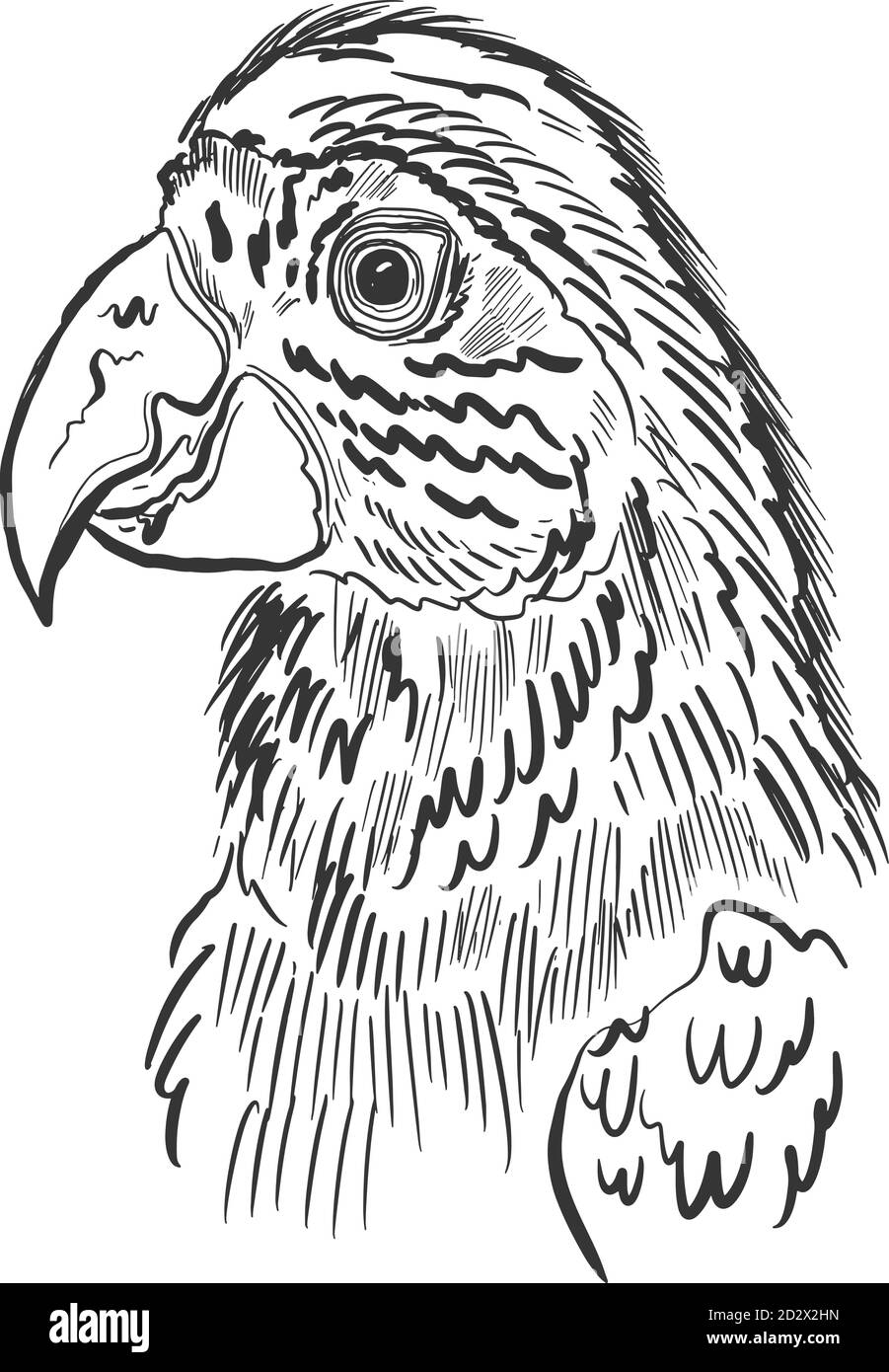 Bird head design hi-res stock photography and images - Alamy