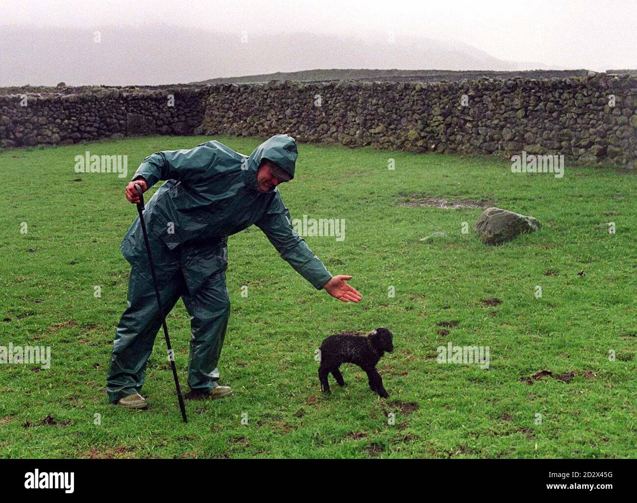 Chernobyl animals hi-res stock photography and images - Alamy
