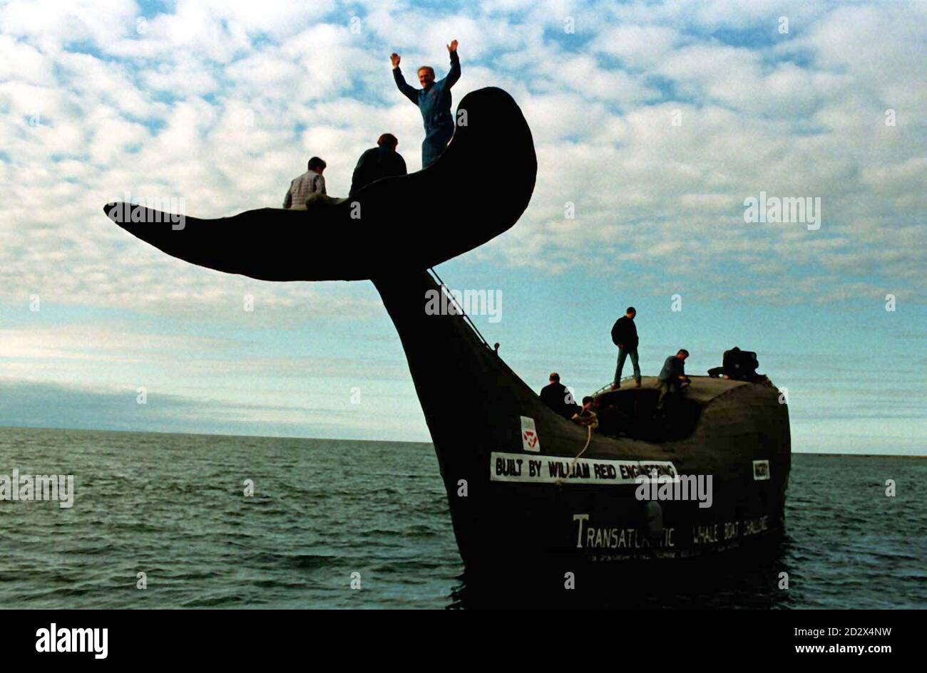 Tom mcclean whale hi-res stock photography and images - Alamy
