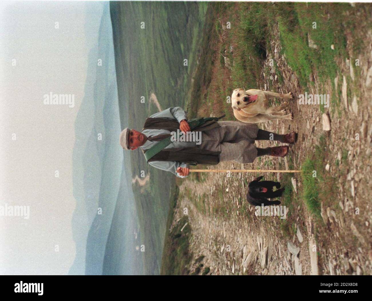 Sandy reid hi-res stock photography and images - Alamy