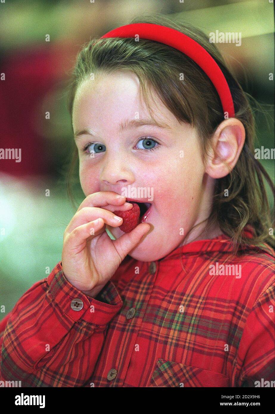 Samples a giant raspberry hi-res stock photography and images - Alamy