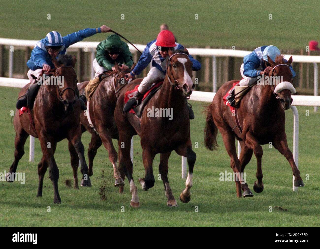 Bahamian bounty hi-res stock photography and images - Alamy