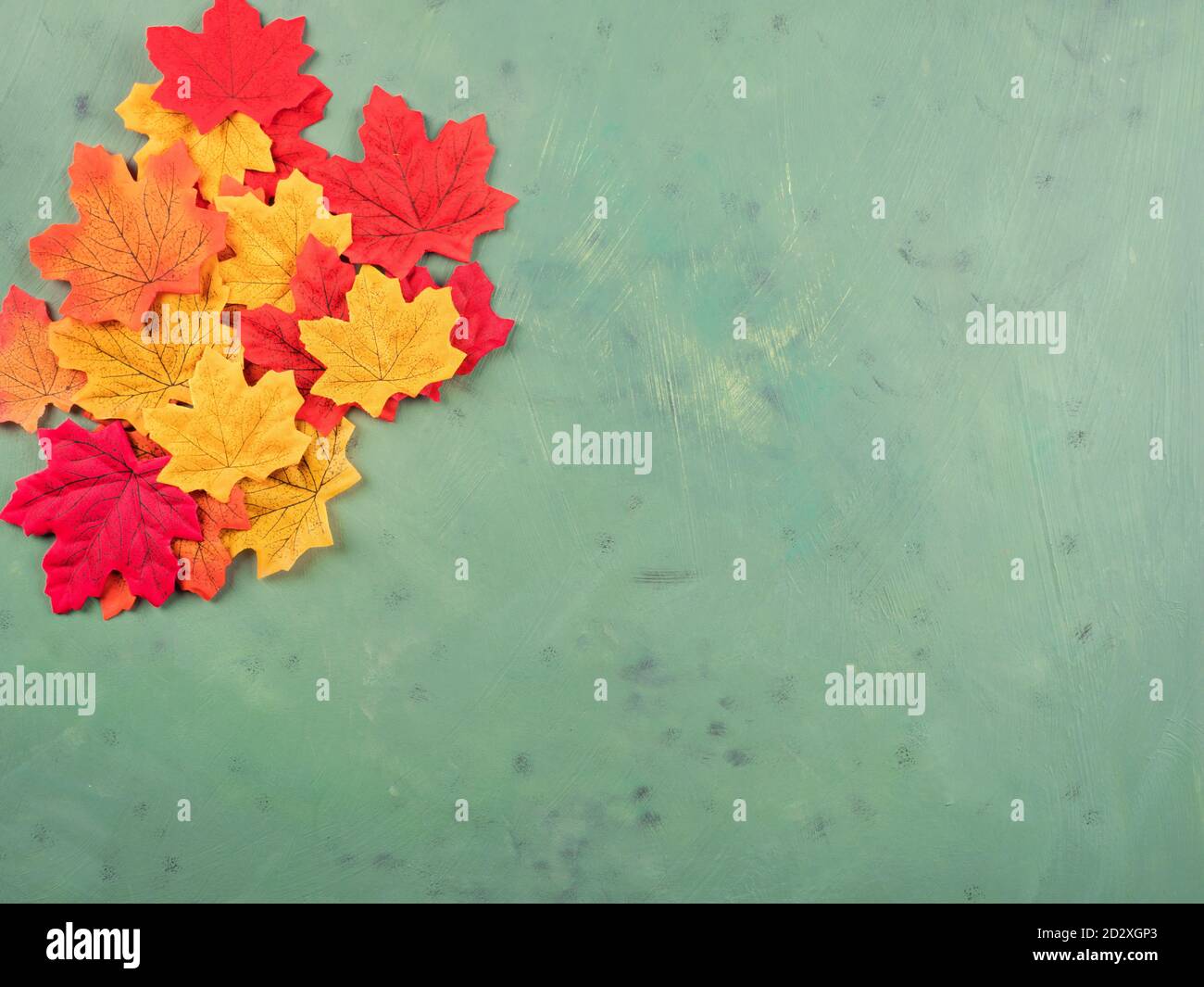 Multi color maple leaves on dark green Stock Photo - Alamy