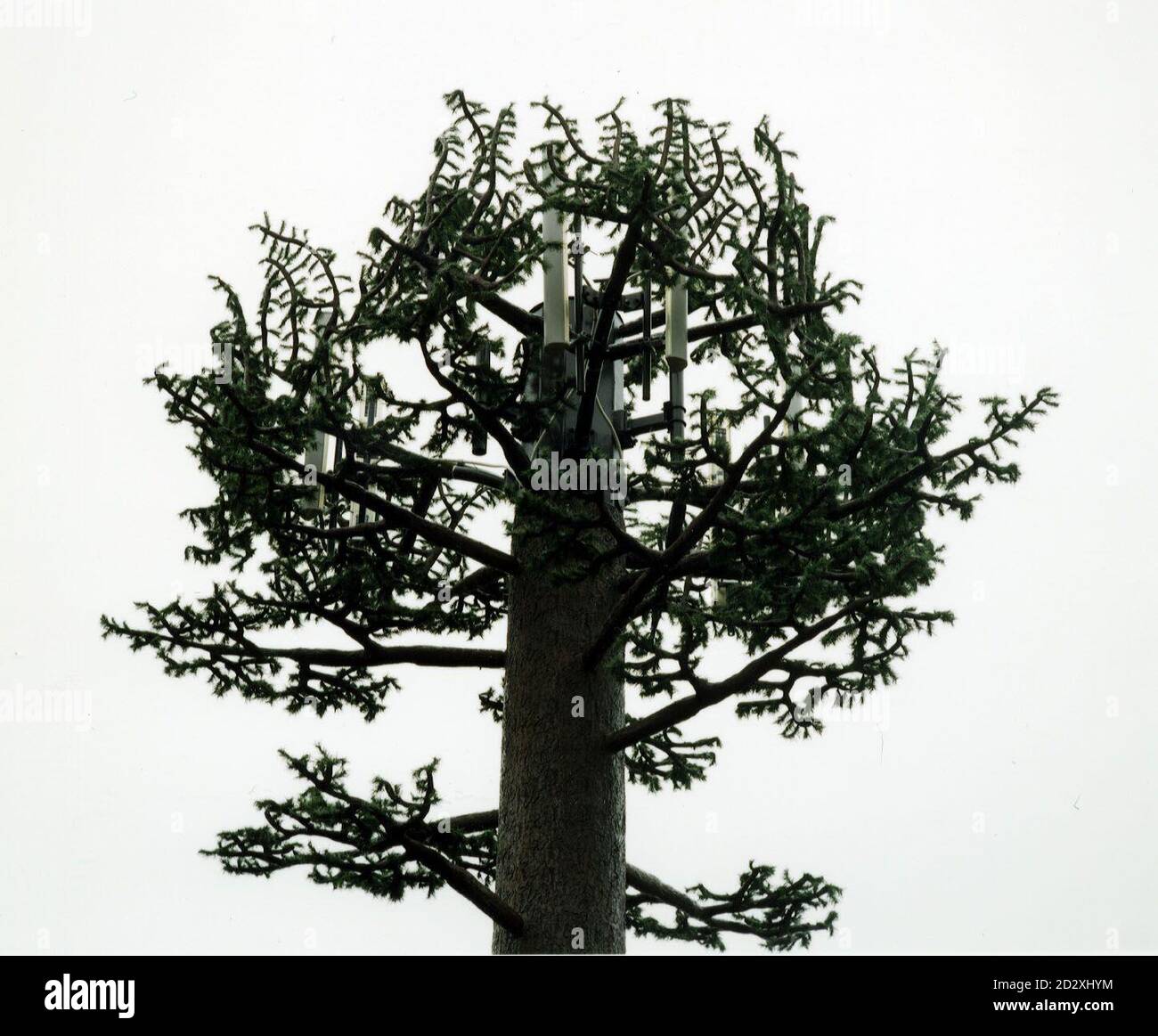 Europe's first telecommunications mast disguised as a tree. The Orange ...