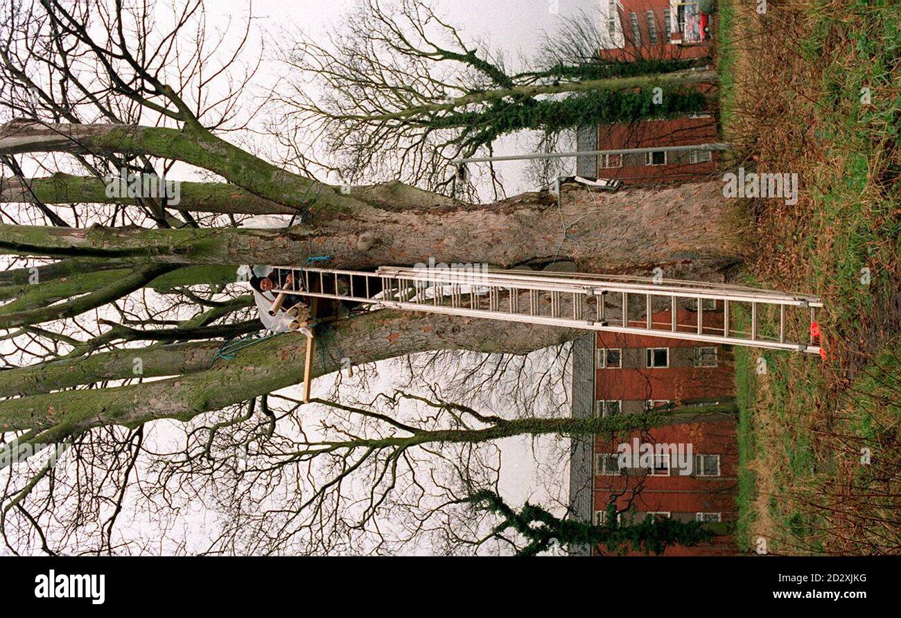 Anti smoking candidate in the wirral south by election hi-res stock ...