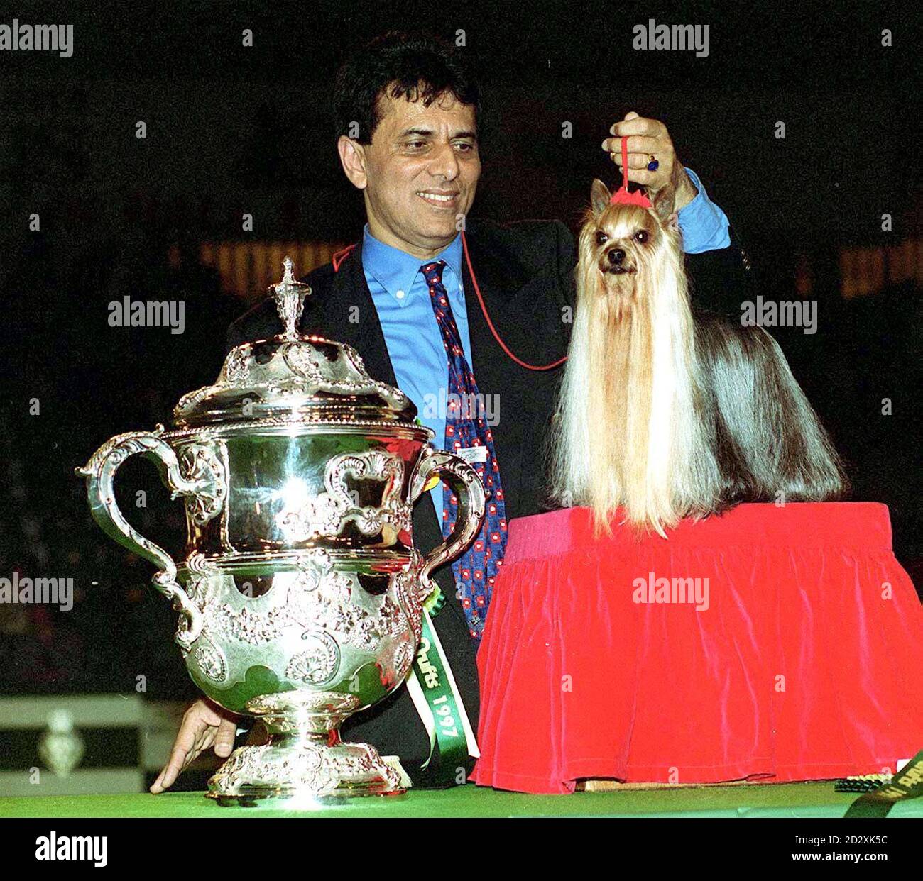 Osman sameja hi-res stock photography and images - Alamy