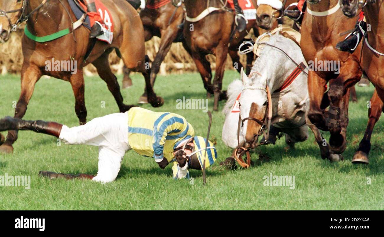 Citroen supreme novices hurdle race hi-res stock photography and images ...