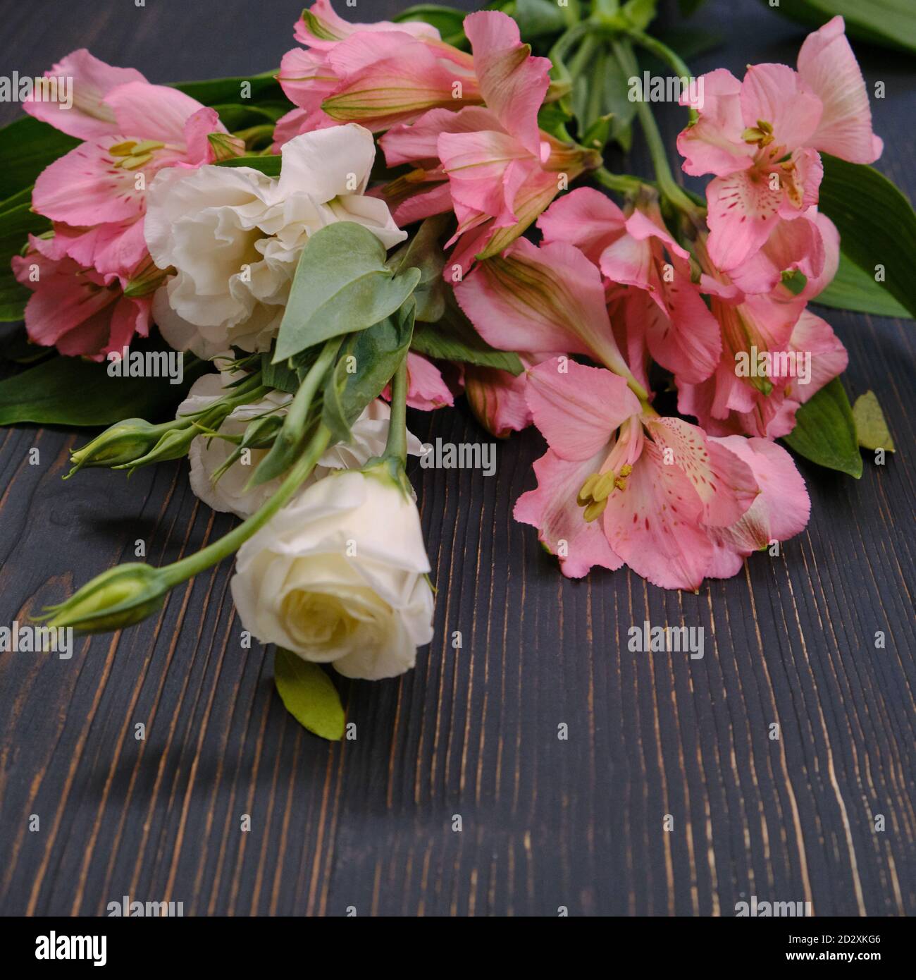 Inca lilly hi-res stock photography and images - Alamy