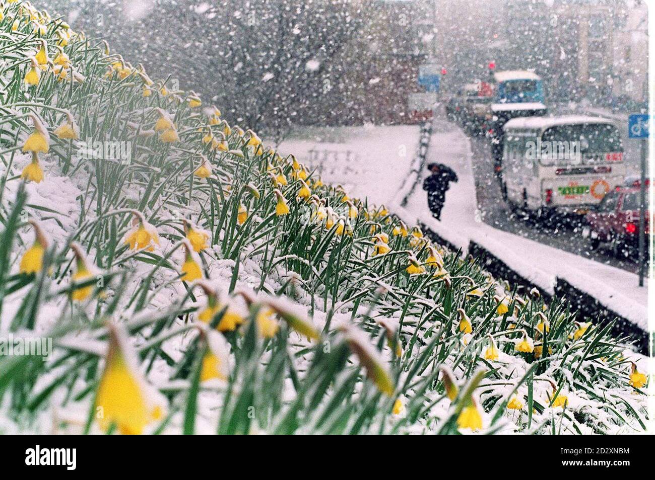 April sunshine stakes today thursday hi-res stock photography and ...