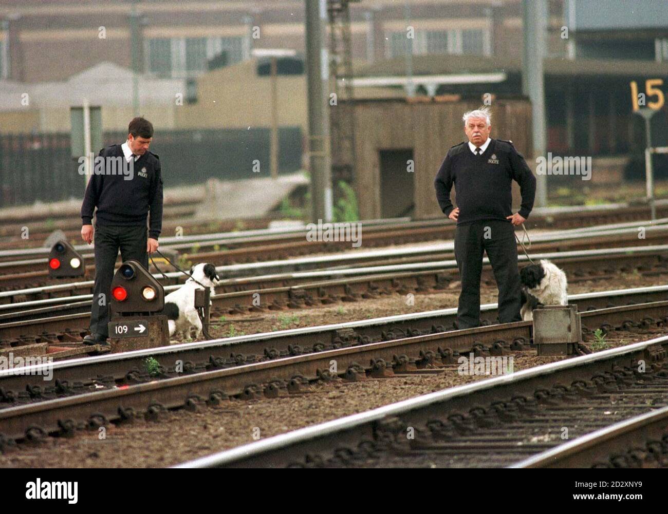 Police sniffer dogs search the railway tracks outside Leeds Station ...