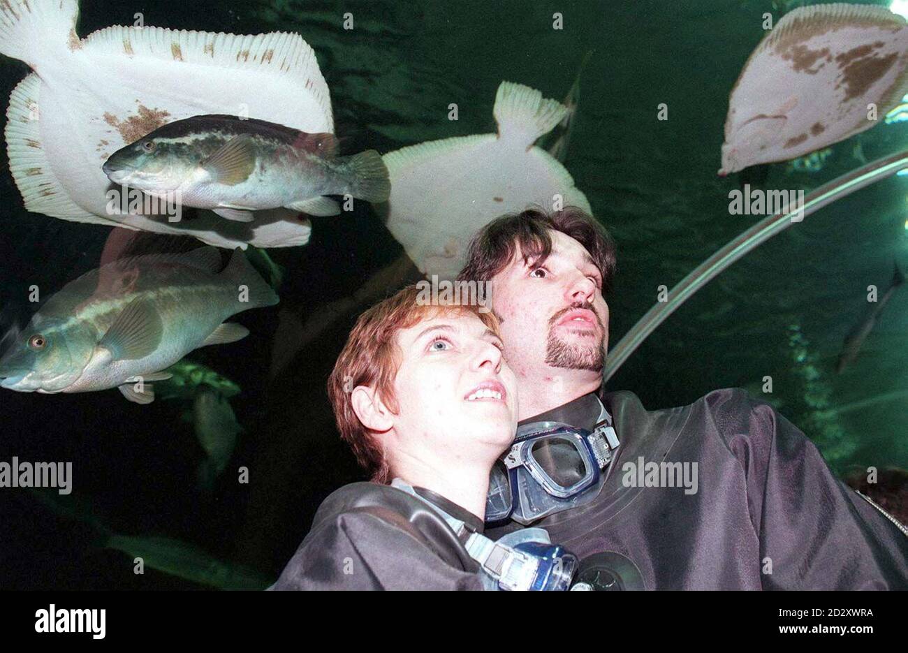 Deep sea world edinburgh hi-res stock photography and images - Alamy