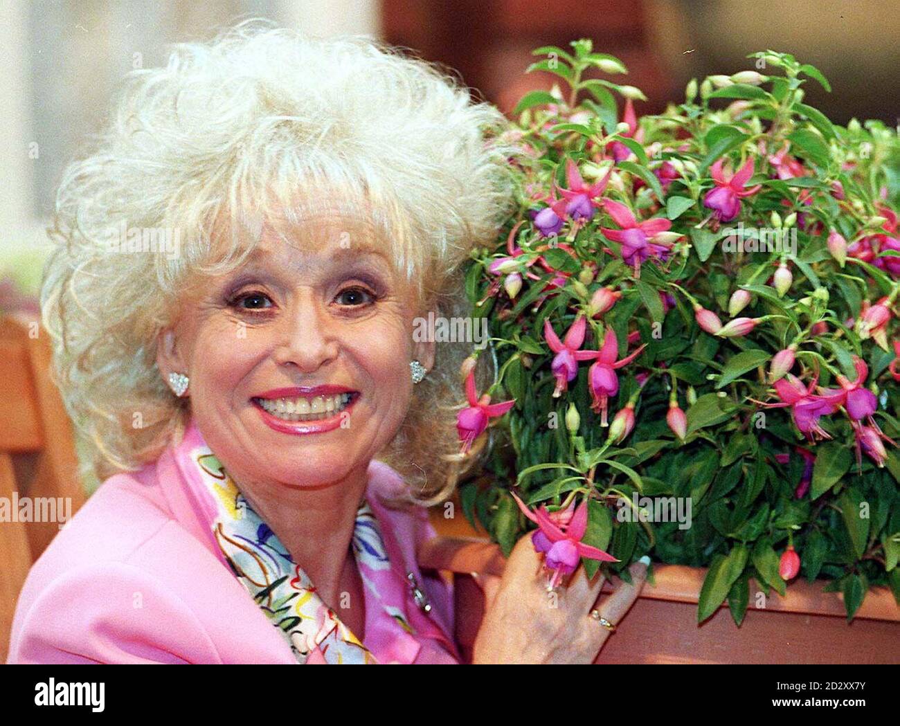 Barbara jones hi-res stock photography and images - Alamy