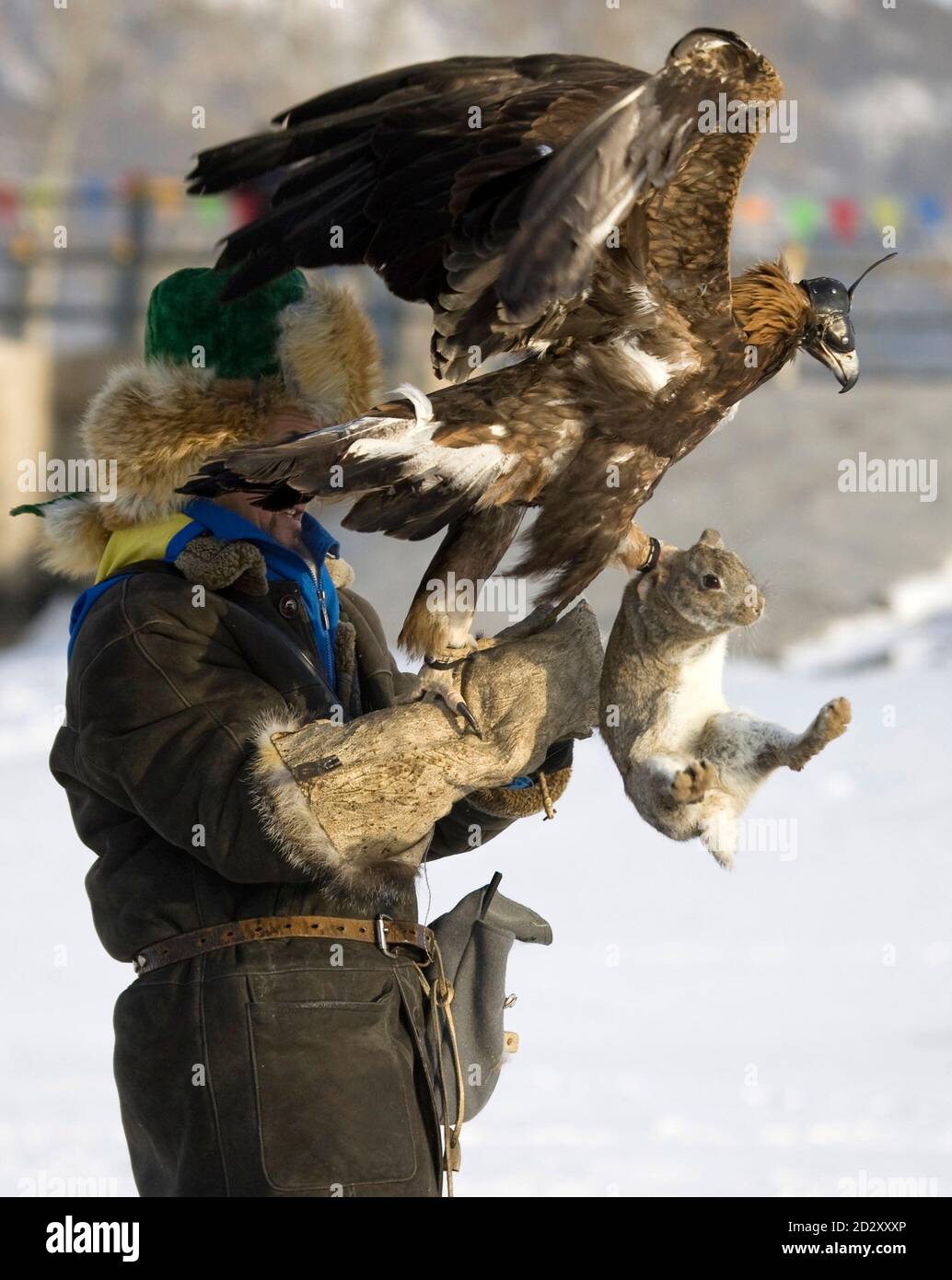 Berkutchi golden eagle hunters hi-res stock photography and images - Alamy
