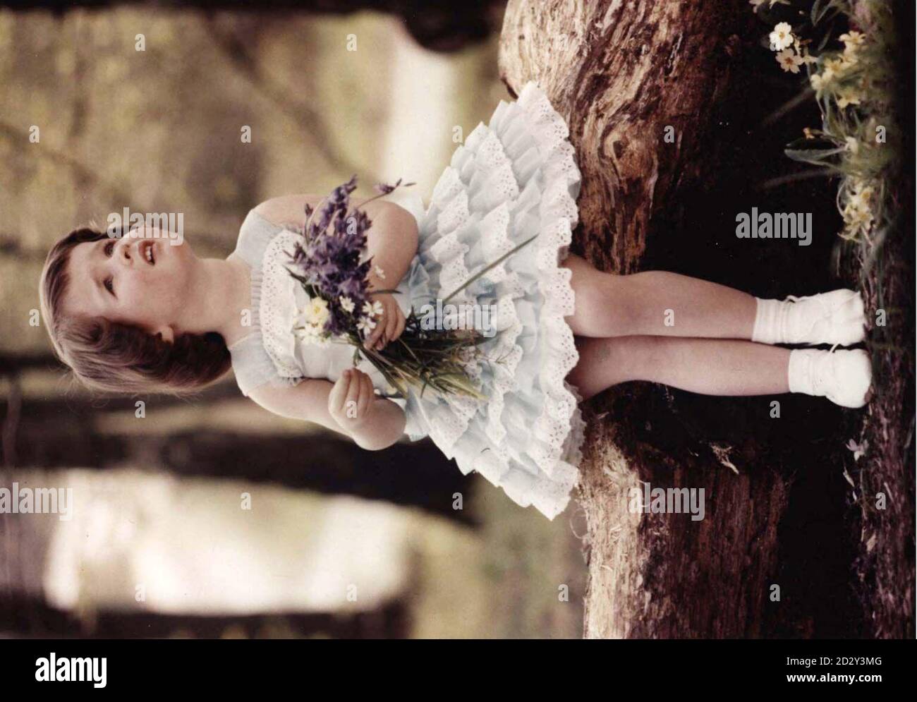 The second Miss Pears - Susan Fowler aged three of Harrow in 1959 - is ...