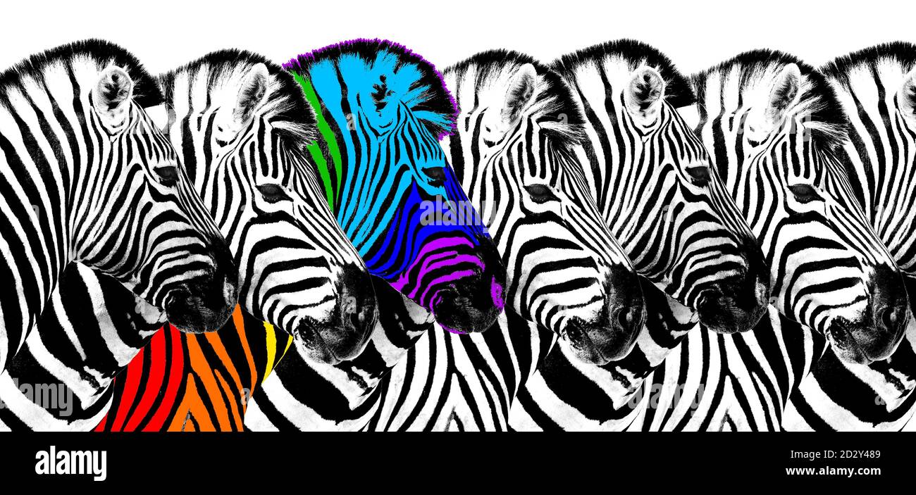 Stand Out In A Crowd Animals