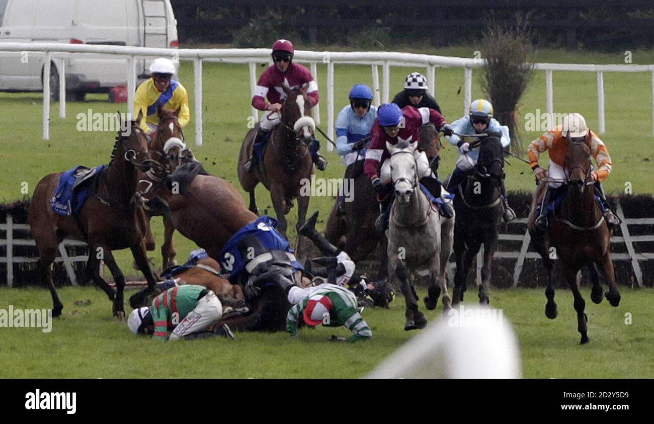 Three horses hi-res stock photography and images - Alamy