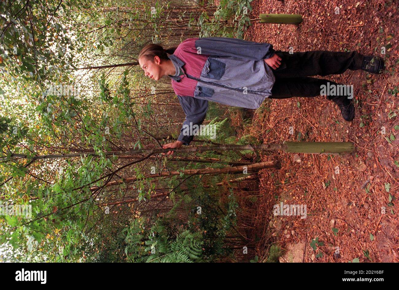 Paul Fillis, 18, son of the head gardener at Emmetts House, near Seven ...