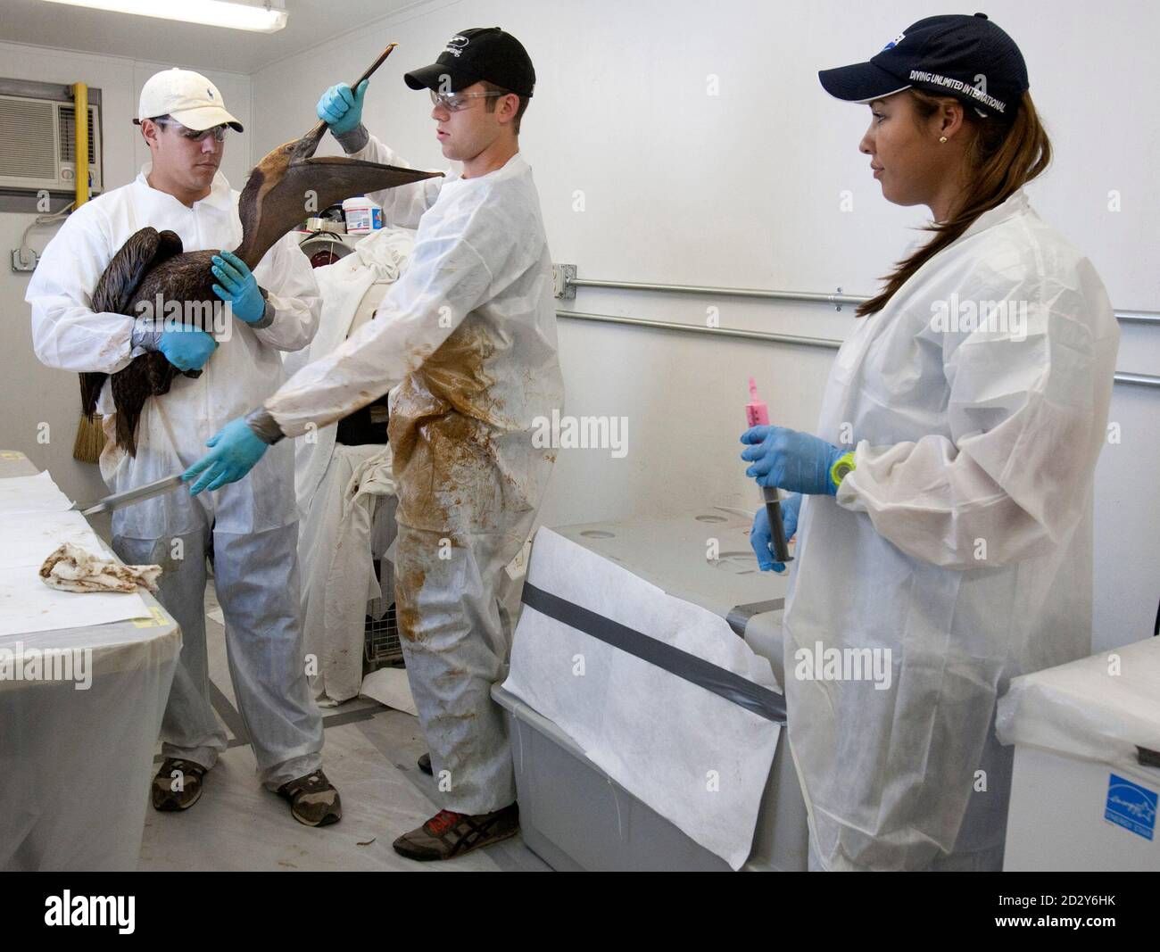 James cade hi-res stock photography and images - Alamy