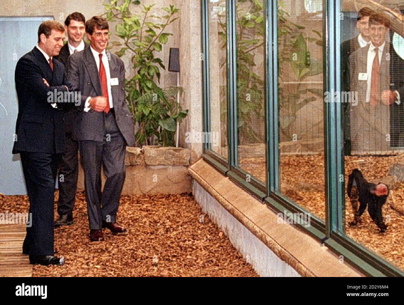 The Duke of York (left) is escorted around Chester Zoo's new Monkey ...