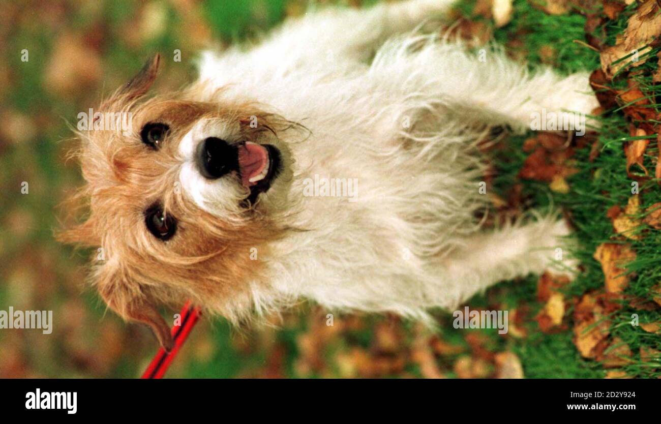 Kate Bushell High Resolution Stock Photography and Images - Alamy