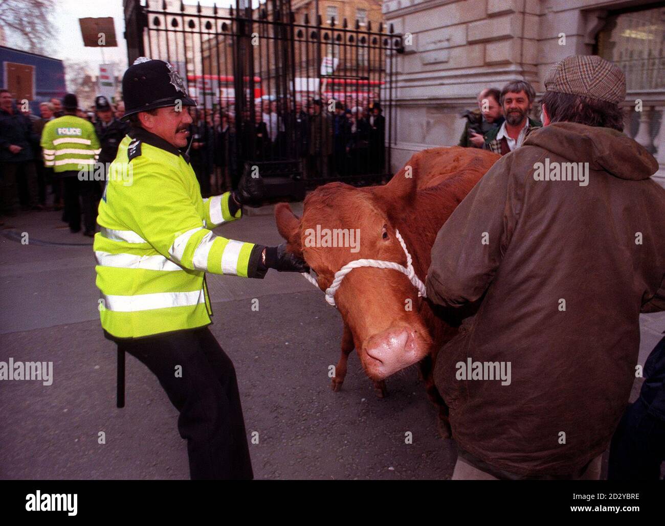 Remove mayflower hi-res stock photography and images - Alamy