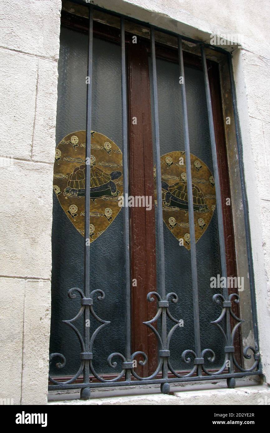 Tortuga contrada hi-res stock photography and images - Alamy