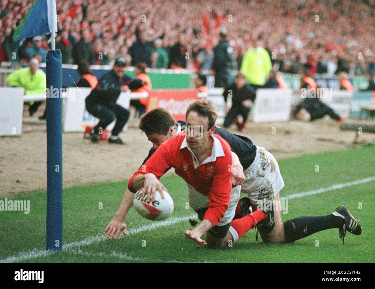 Hevezi hi-res stock photography and images - Alamy