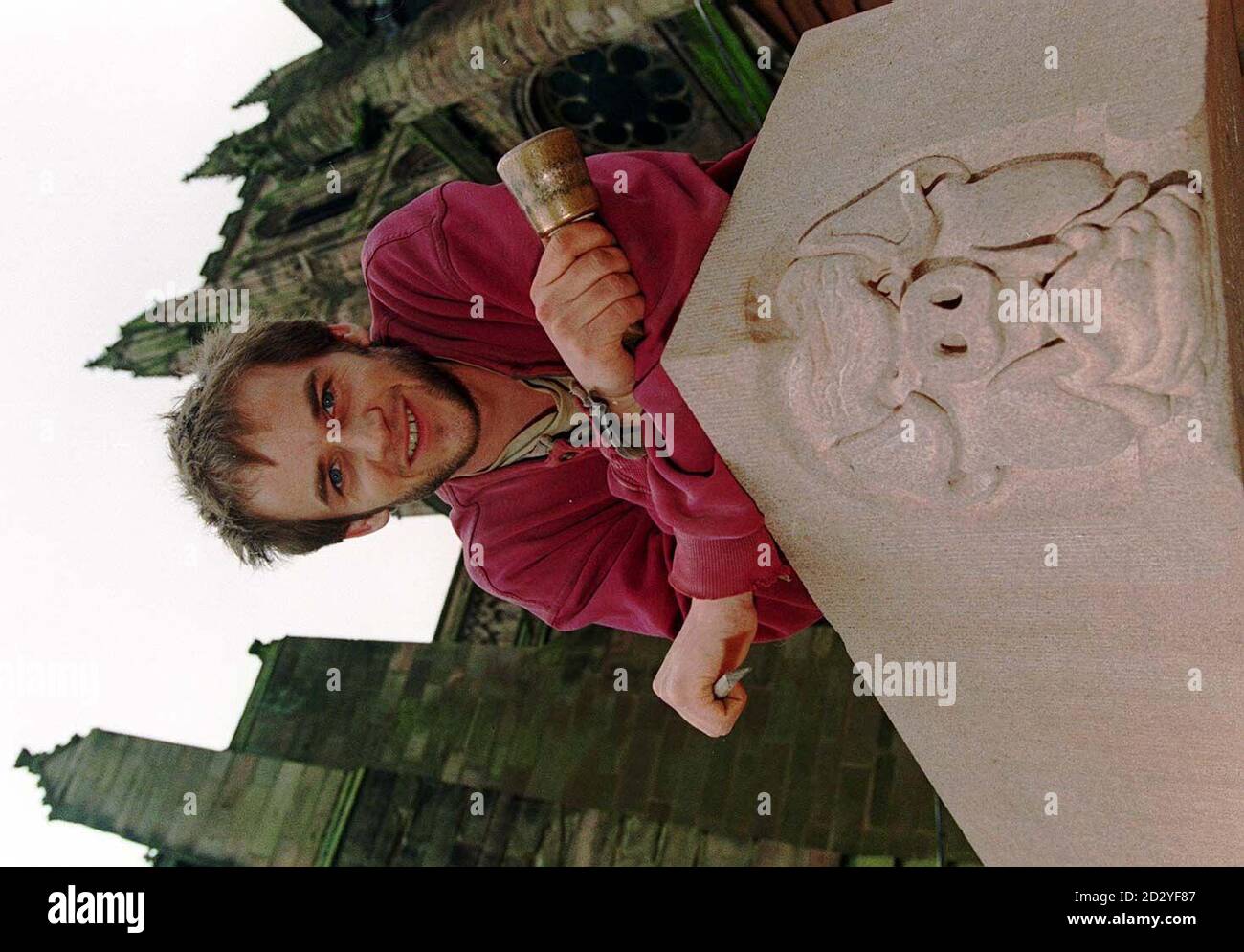 Butch sundance pigs hi-res stock photography and images - Alamy