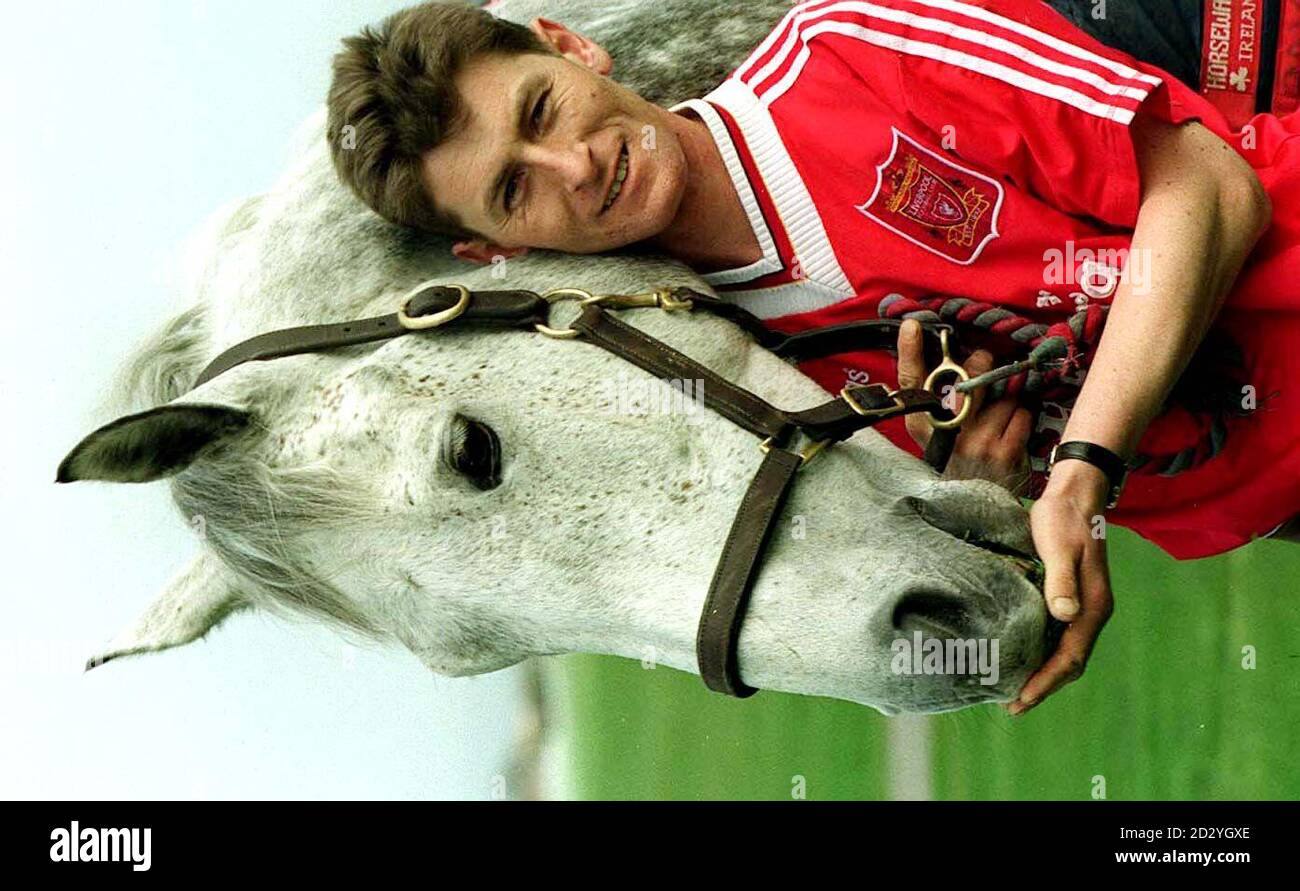Stable lad hi-res stock photography and images - Alamy