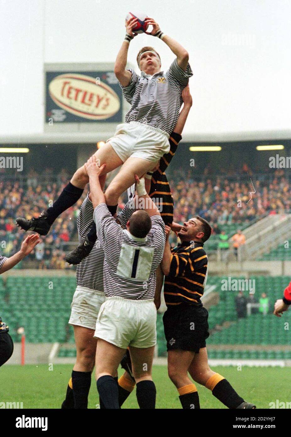 He outjumps cornish pack hi-res stock photography and images - Alamy