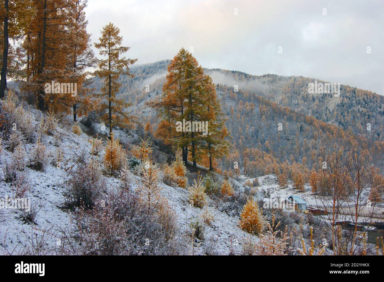 Siberia landscape winter mountains hi-res stock photography and images ...