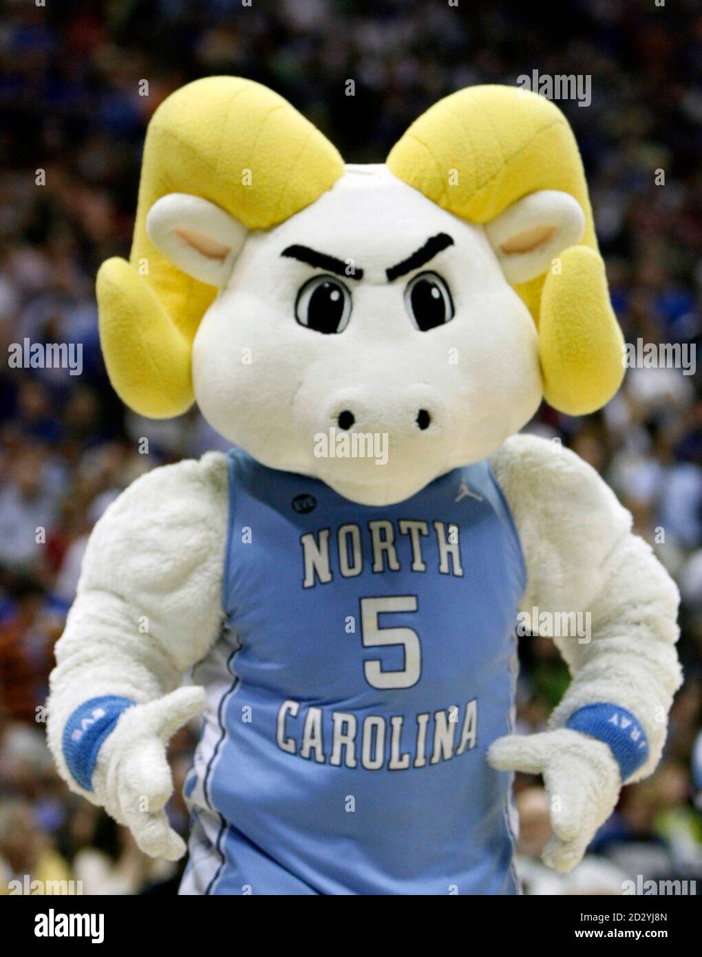 Tarheels mascot hi-res stock photography and images - Alamy