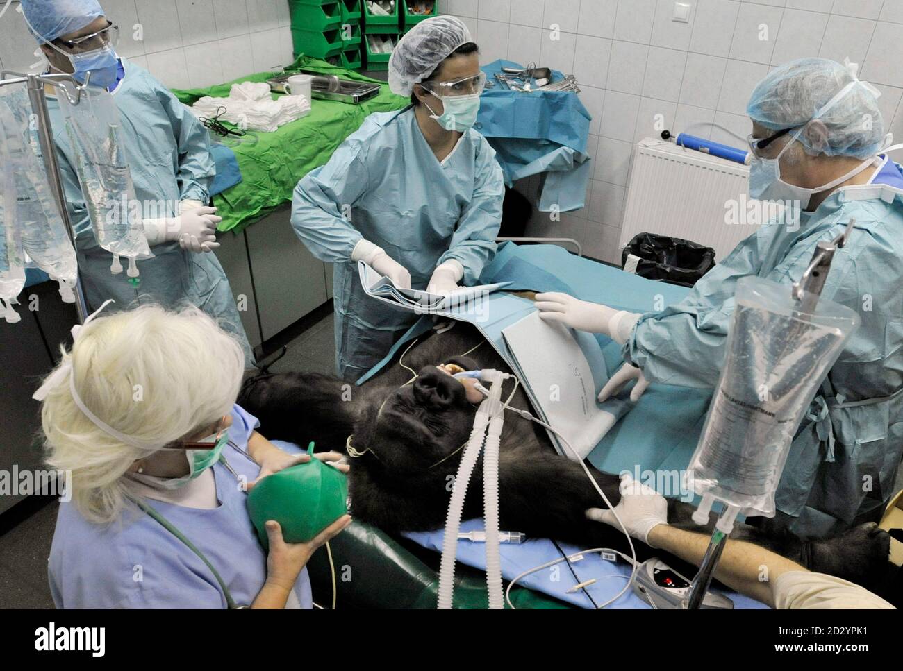 Doctors in hungary hi-res stock photography and images - Alamy