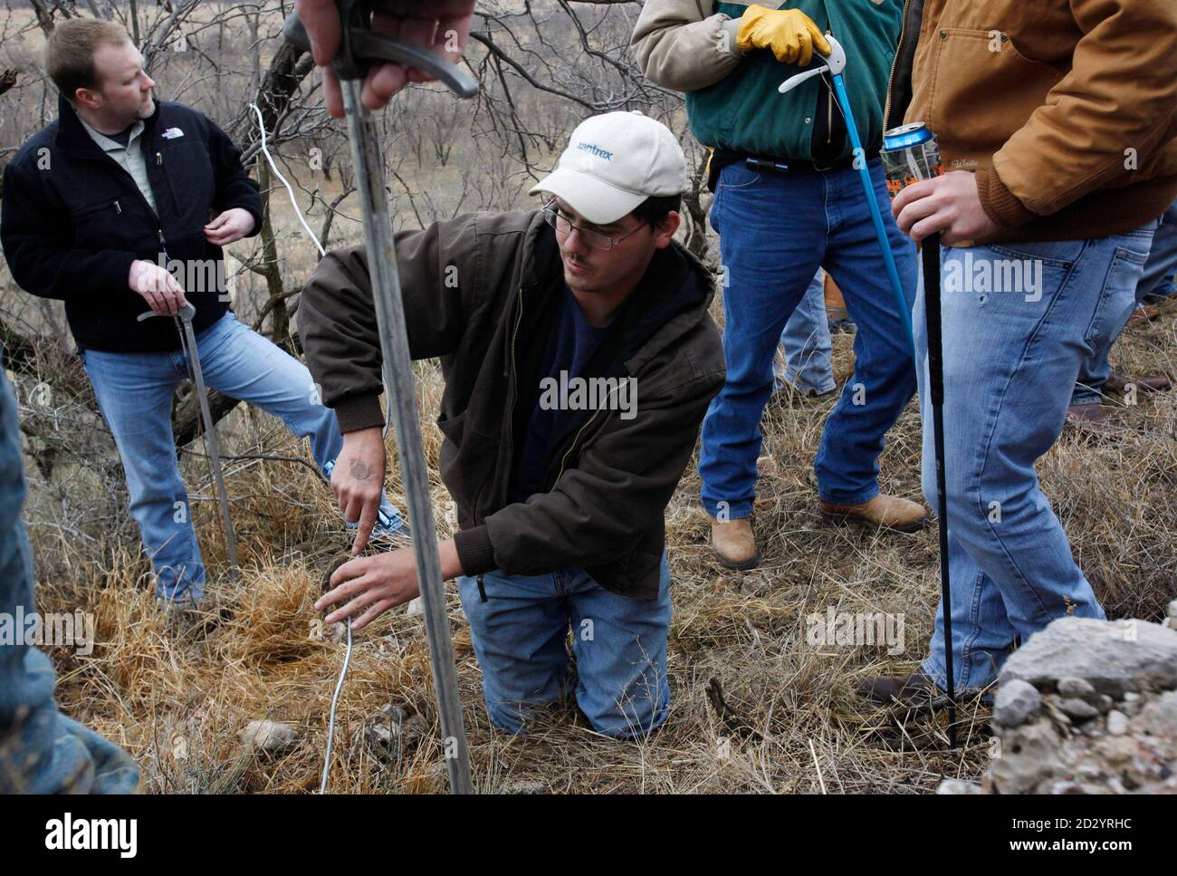 Snake in tank hi-res stock photography and images - Alamy