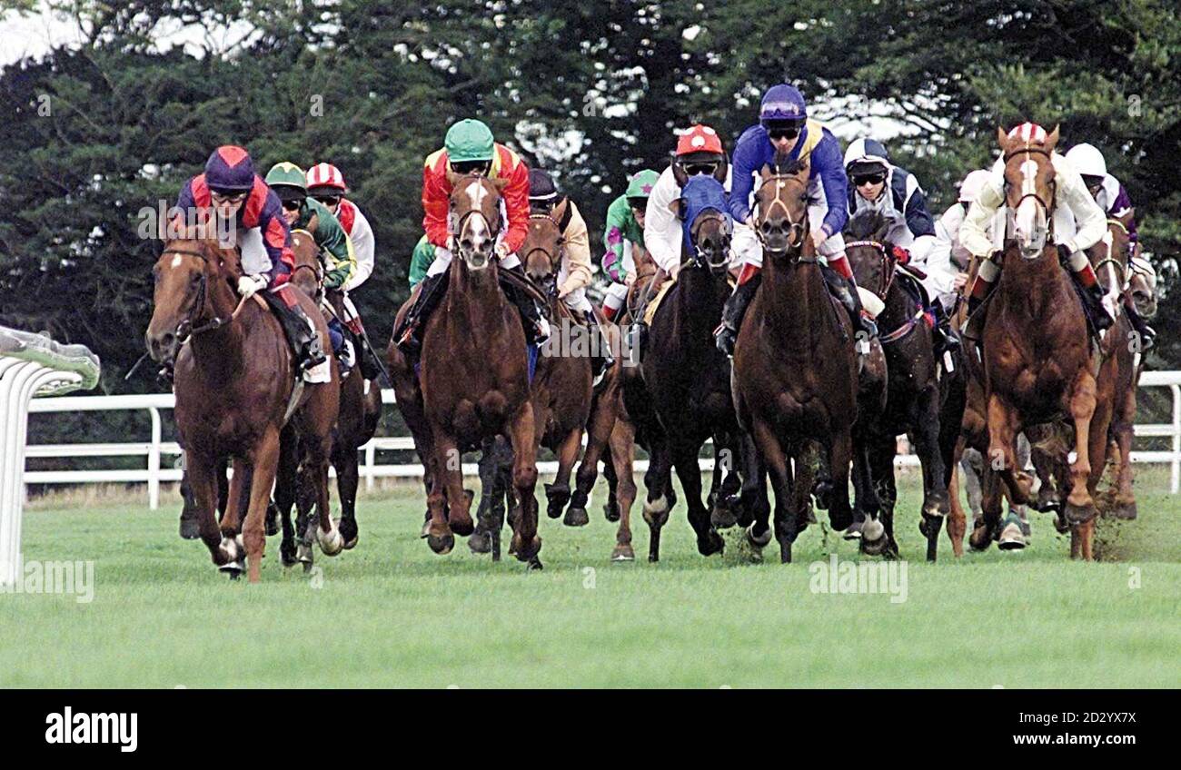 Seeboard hi-res stock photography and images - Alamy