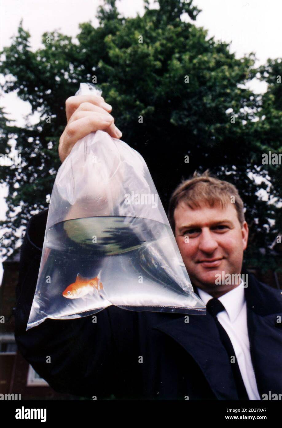 RSPCA chief inspector Kevin Cunningham, with the goldfish he rescued ...