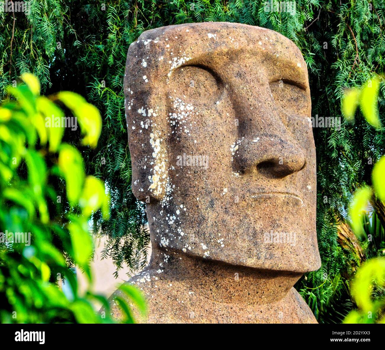 Moai standing from Easter Island Stock Photo - Alamy
