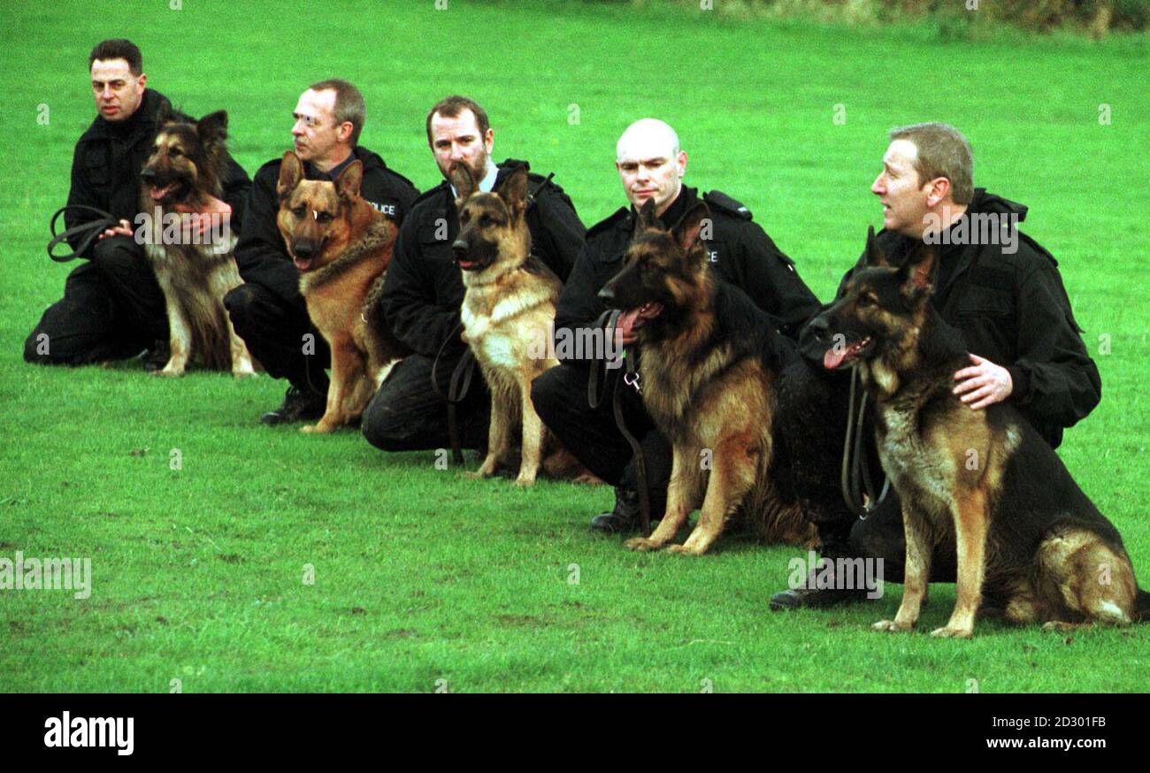 Based essex police dog headquarters hi-res stock photography and images ...