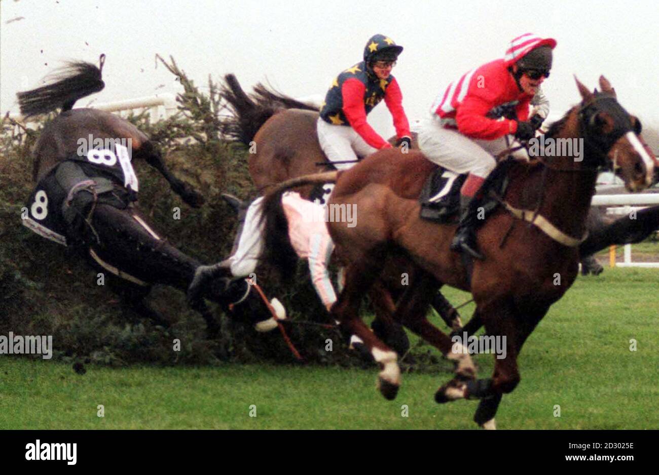 Crashing fall for Bold Account and jockey Steve Wynne at the Chair ...