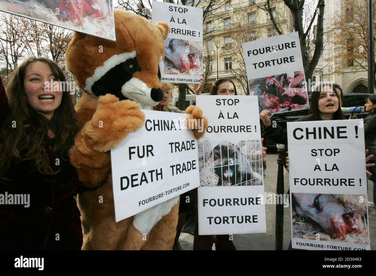 Skinning animal animals hi-res stock photography and images - Alamy