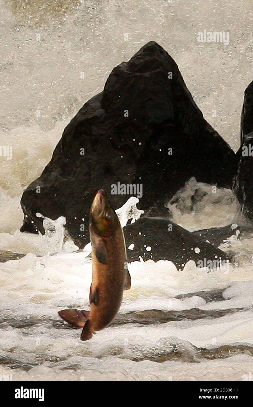 Overcome borders hi-res stock photography and images - Alamy