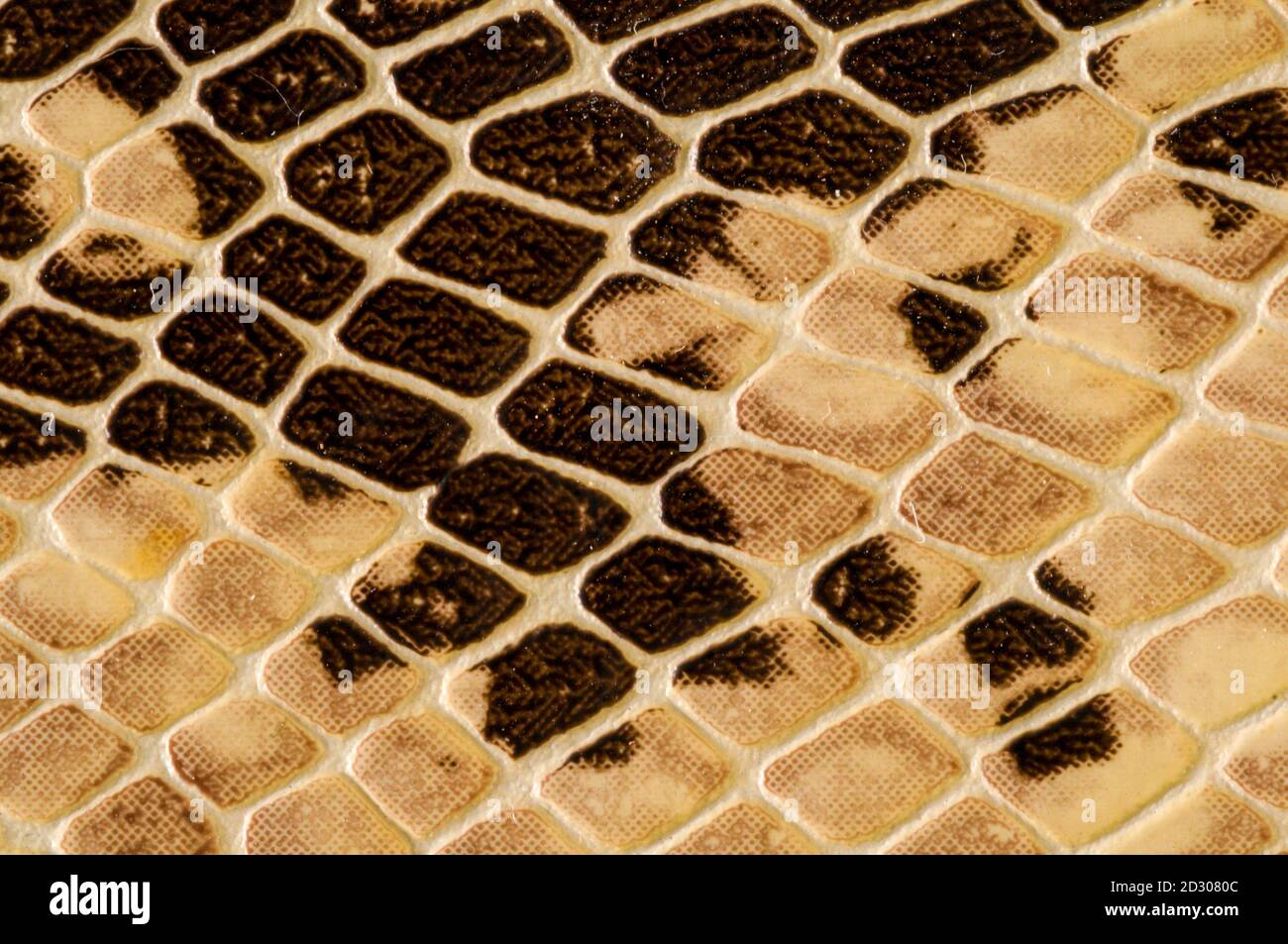 Snake skin pattern background Stock Photo - Alamy