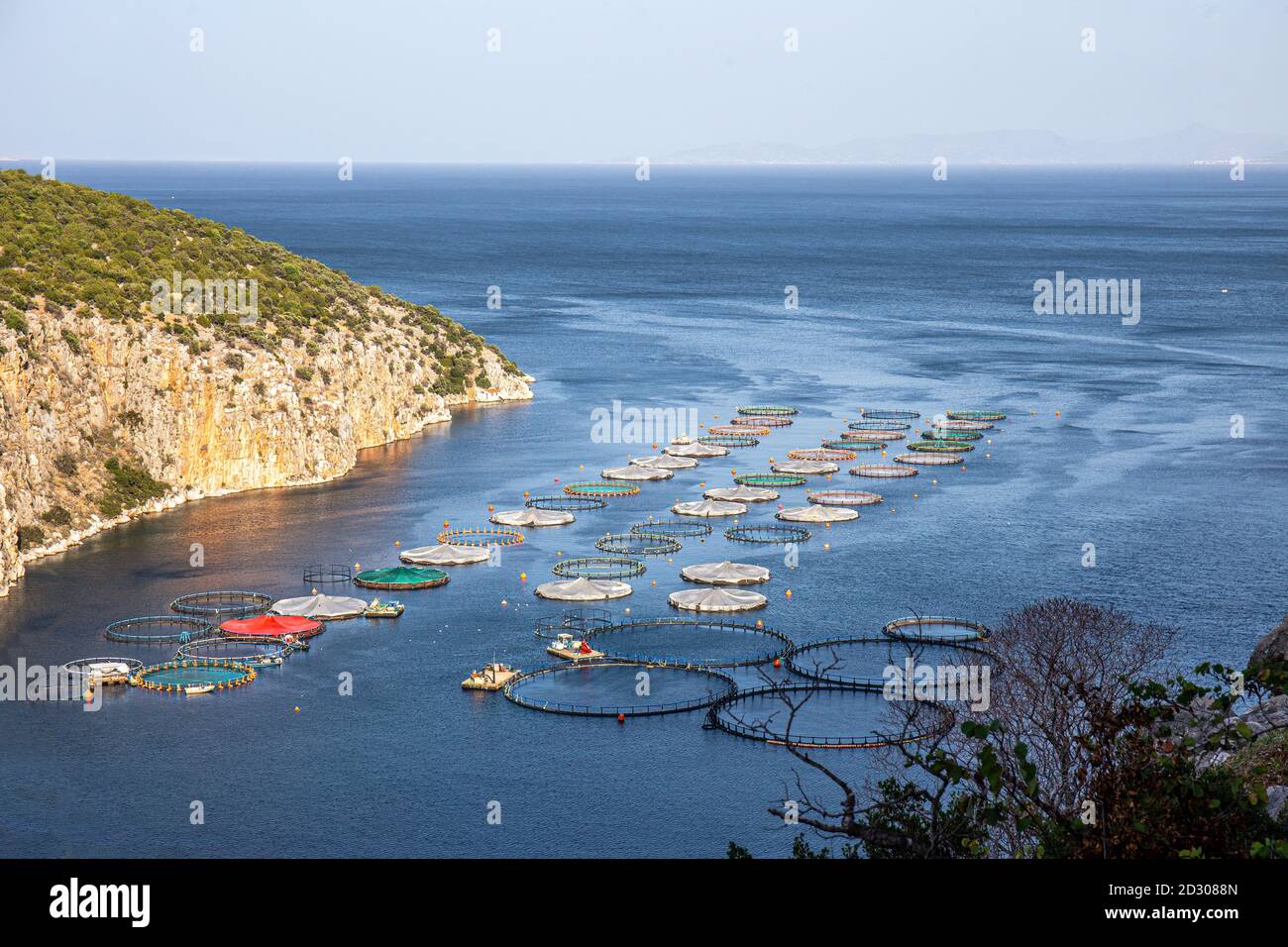 Sea fish farm. Cages for fish farming dorado and seabass. The workers ...