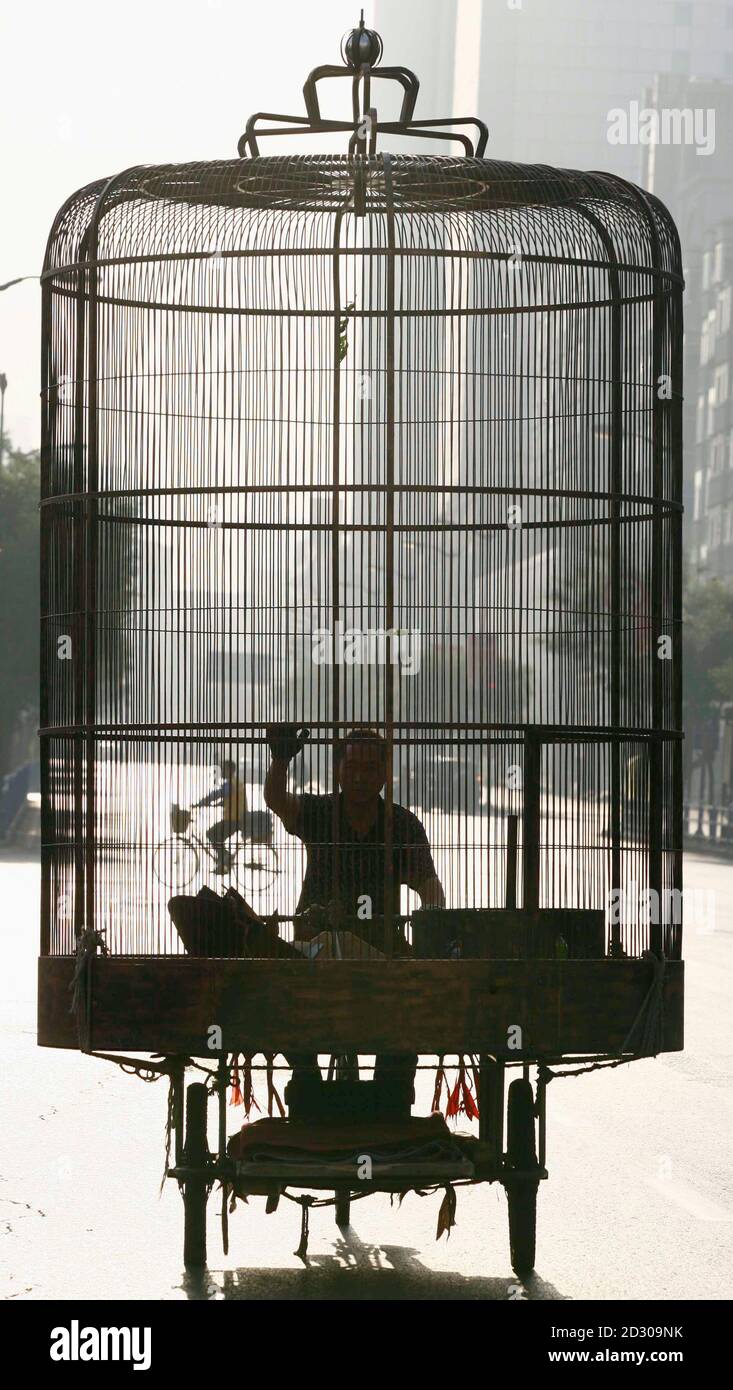 Giant bird cage hi-res stock photography and images - Alamy