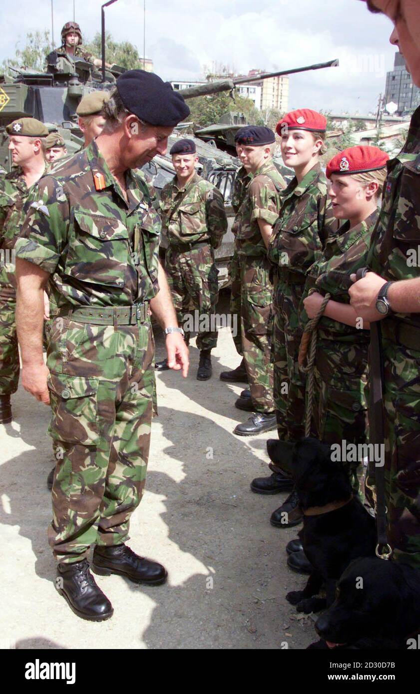 The Prince of Wales , during a one day visit to the war-torn Pristina ...