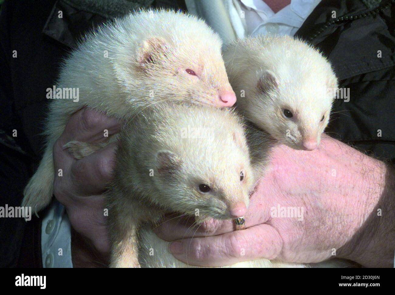 Greenwich can be shown on television hi-res stock photography and ...