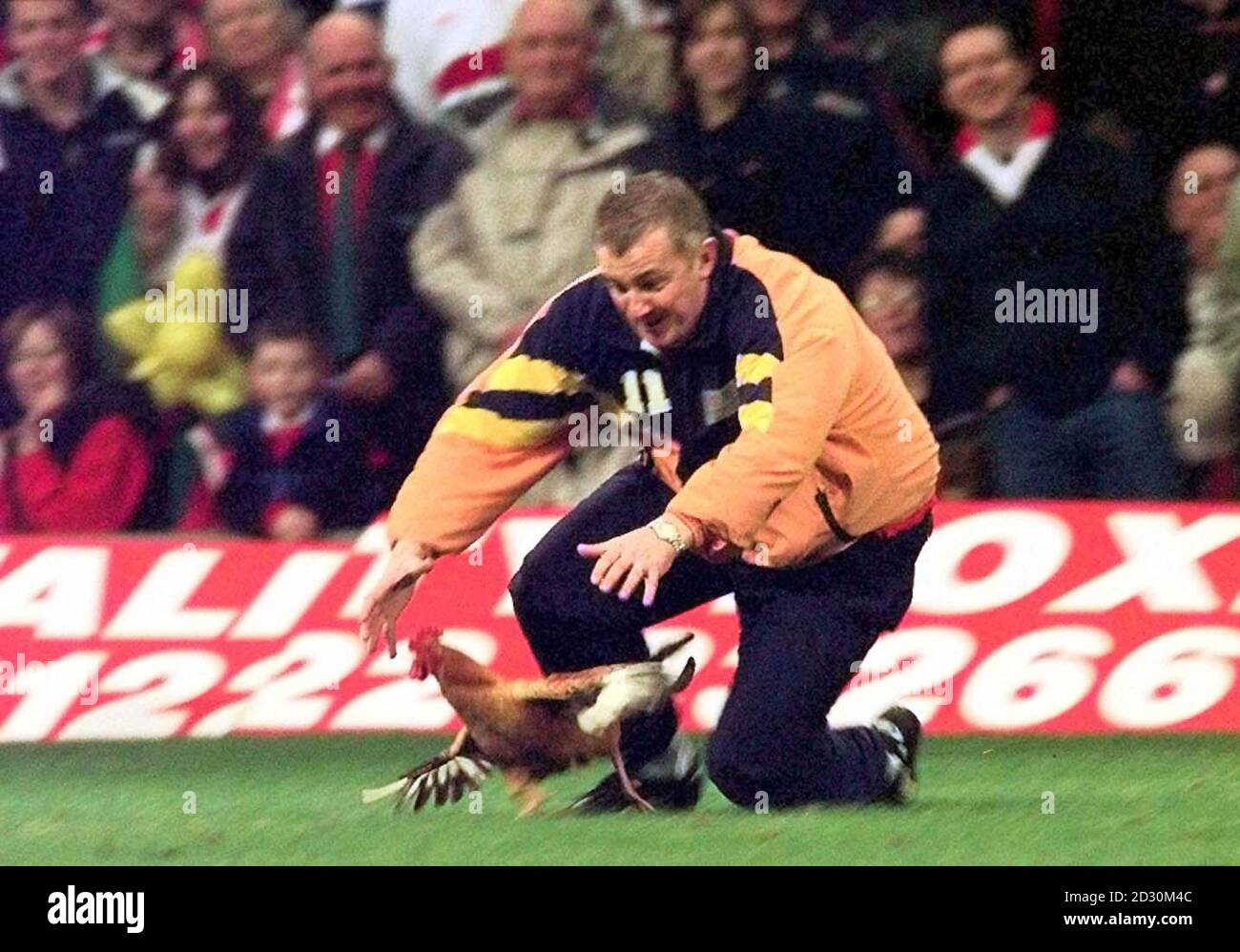 The French mascot, a cockerel, gets involved in the action during half ...