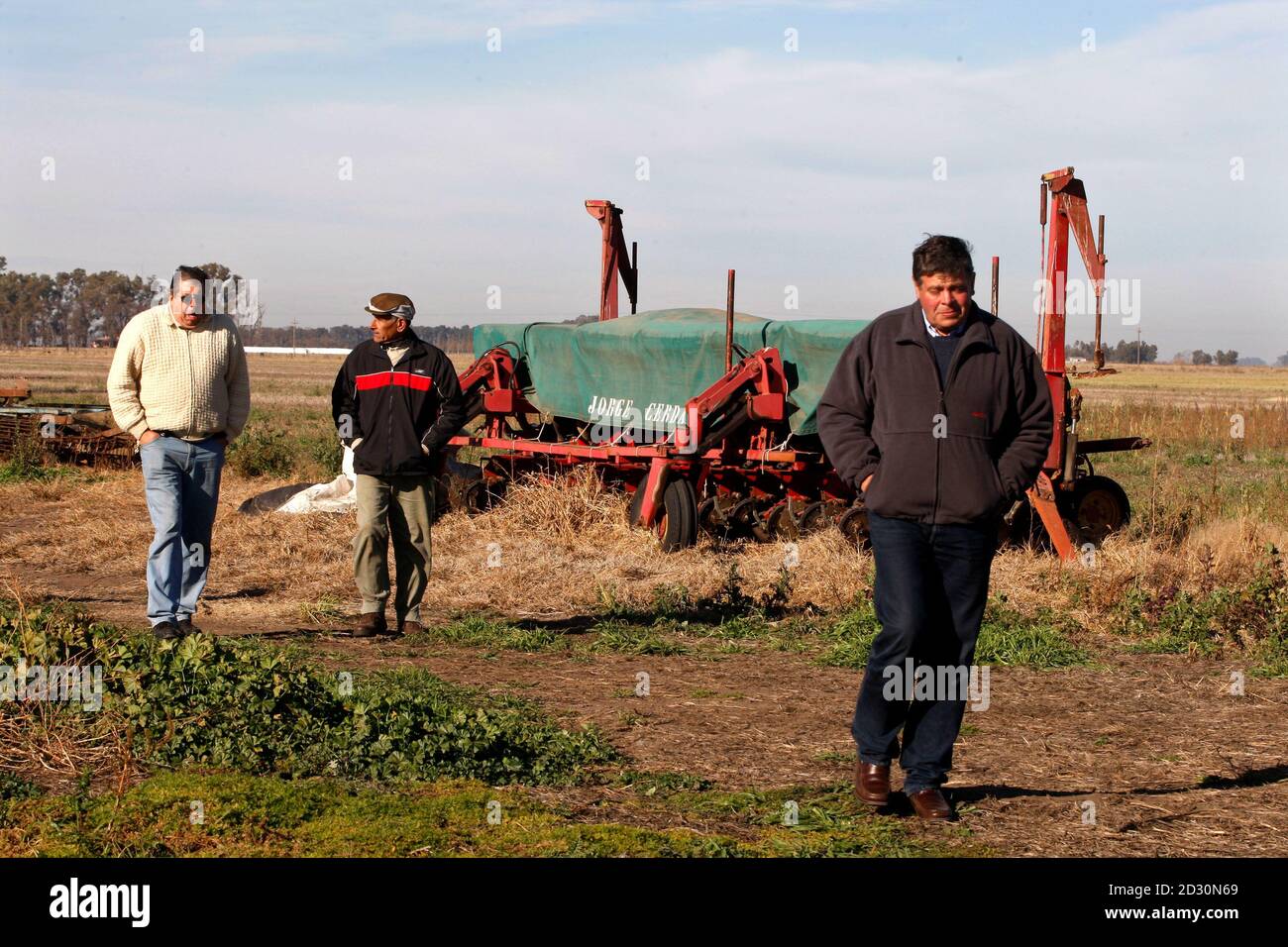 Pampas argentina wheat hi-res stock photography and images - Alamy